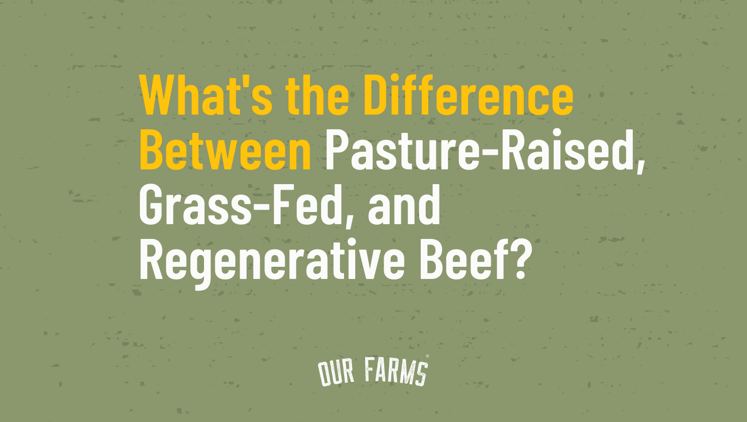 What's the Difference Between Pasture-Raised, Grass-Fed, and Regenerat ...